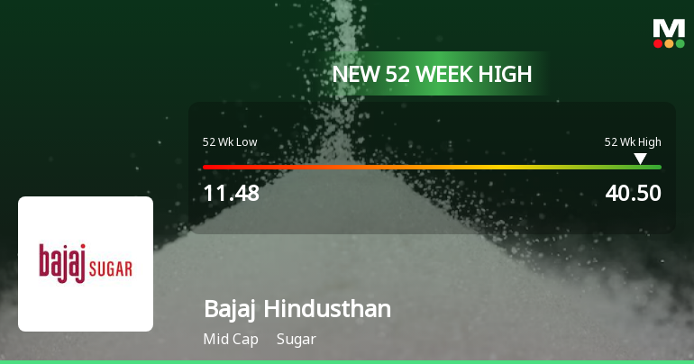 Bajaj Hindusthan Sugar Surges to 52-Week High, Outperforming Sector and ...