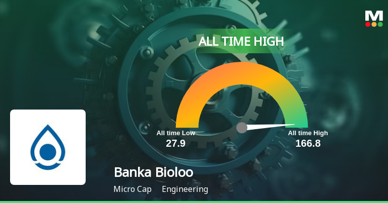 Banka Bioloo's Stock Reaches All-Time High, Outperforms S...