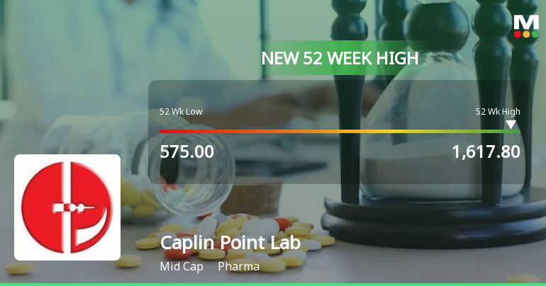 Caplin Point Laboratories Achieves 52-Week High, Outperforms Sector and ...