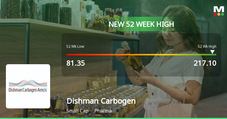 Dishman Carbogen Amcis: A Rising Star in the Smallcap Pharmaceutical Sector