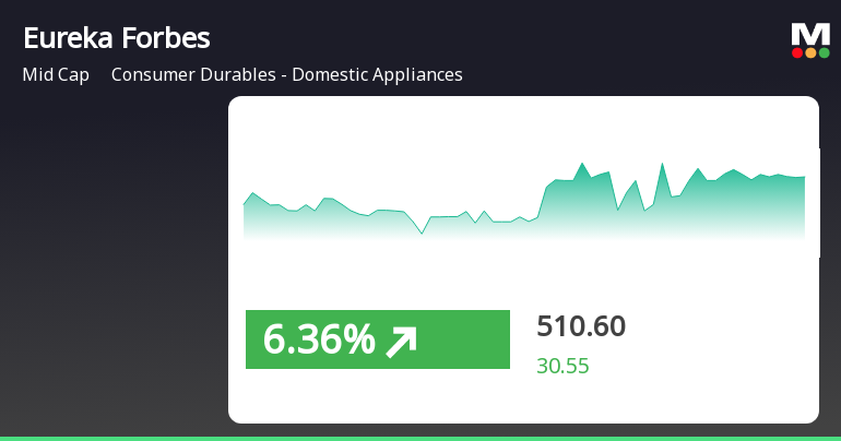 Eureka Forbes Stock Sees 5.08% Gain, Outperforms Sector o...