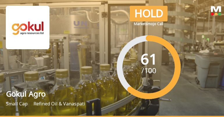 Gokul Agro Resources Receives 'Hold' Rating and Shows Strong Growth ...