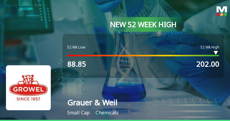 Grauer & Weil (India) Ltd's Stock Reaches 52-Week High, Outperforms ...