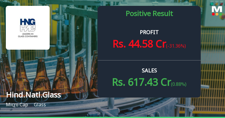 Hindusthan National Glass & Industries Reports Strong Fin...