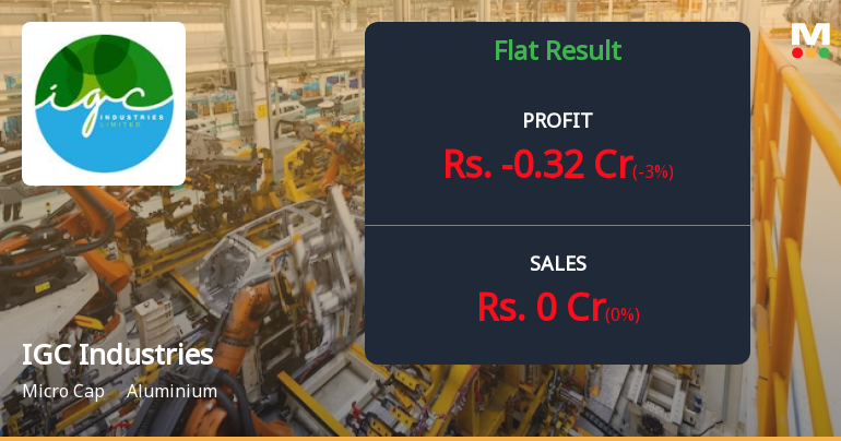 IGC Industries Reports Flat Performance in Q4 2023, Receives 'Sell ...