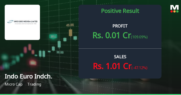 Indo Euro Indchem Reports Strong Financial Performance in...