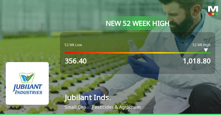 Jubilant Industries' Stock Reaches 52-Week High, Outperforms Sector by 1.2%