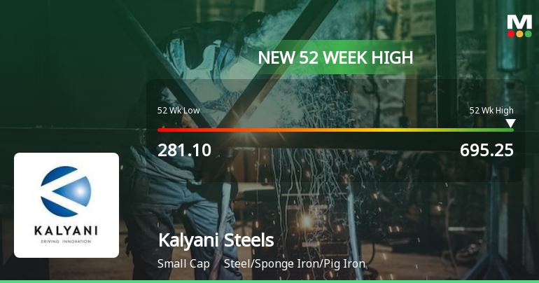 Kalyani Steels' Impressive Stock Performance Attracts Investors and Experts