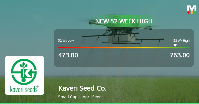 Kaveri Seed Company's Stock Hits 52-Week High, Outperforms Sector and ...