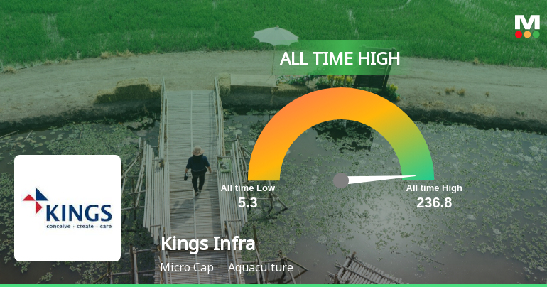 Kings Infra Ventures' Stock Reaches All-Time High in Aquaculture Industry Performance