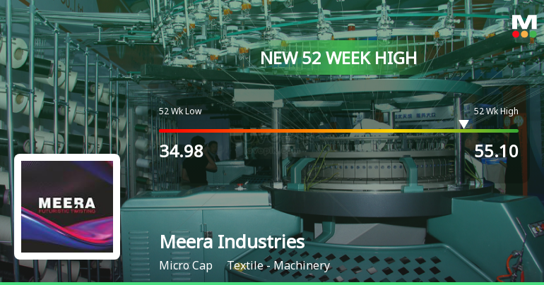 Meera Industries' Stock Surges to 52-Week High, Outperforming Sector ...