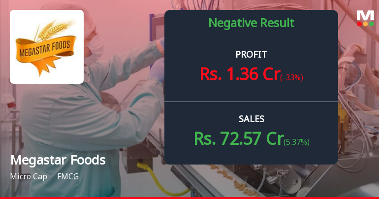 Financial Report Reveals Decline in Megastar Foods' Performance for Q4 2023
