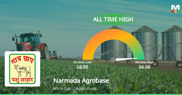 Narmada Agrobase's Stock Reaches All-Time High, Outperforming Sector by ...