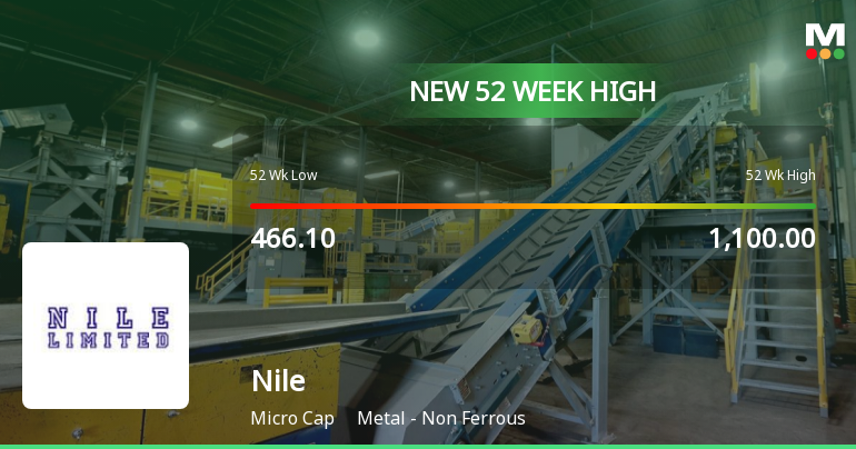 Nile Ltd. Stock Reaches 52-Week High, Shows Strong Growth in Non ...