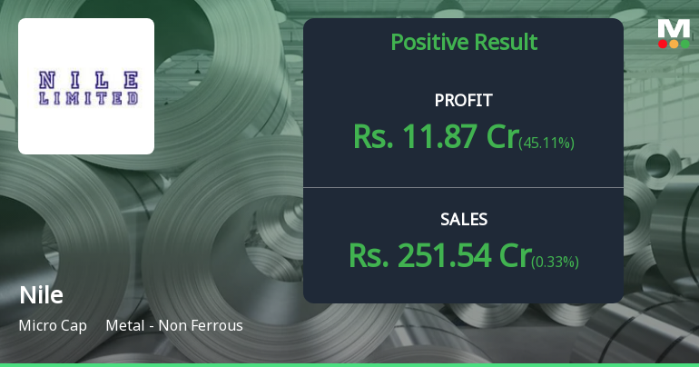 Nile's Financial Results Show Strong Growth and Positive Trends, Receives 'Buy' Rating from ...