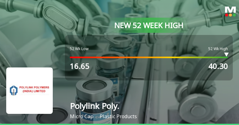 Polylink Polymers (India) Ltd's Stock Surges, Outperforms Sector and Market Averages