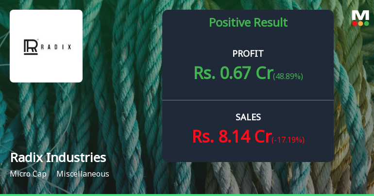 Radix Industries reports positive financial results for Q4 2023, with potential for future growth