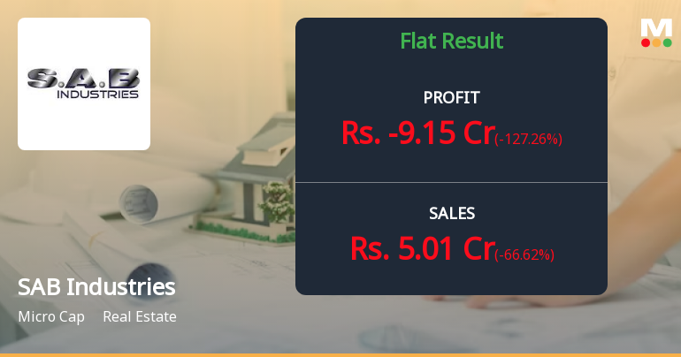 SAB Industries' Q4 Financial Results Show Mixed Performance, Investors ...