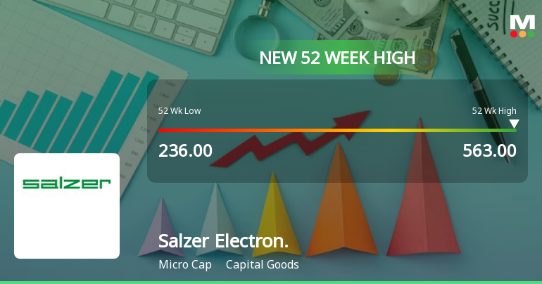 Salzer Electronics Hits 52-Week High, Outperforms Sector and Sensex ...