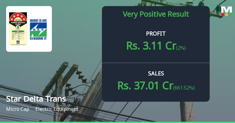 Star Delta Trans Reports Strong Financial Performance in Q4 2023 ...