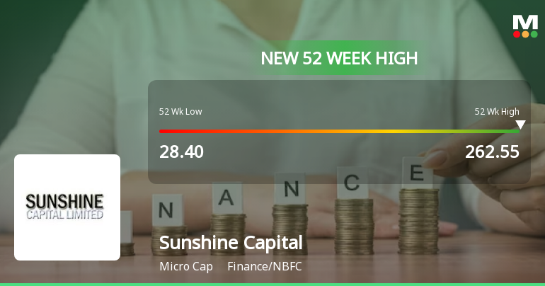 Sunshine Capital's Stock Reaches 52-Week High with Impressive 51.23% ...