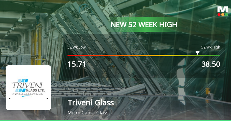 Triveni Glass Ltd,Triveni Glass Ltd LIVE, Triveni Glass Ltd price NSE ...