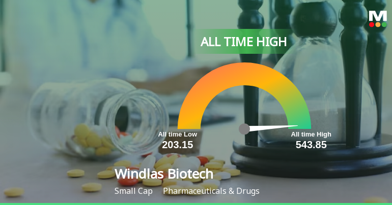 Windlas Biotech's Stock Surges to All-Time High, Outperforms Sector and ...