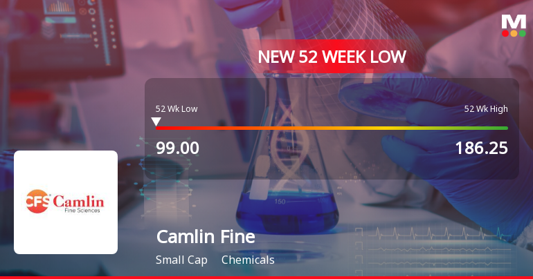 Camlin Fine Sciences Hits 52-Week Low, Receives 'Strong Sell' Rating ...
