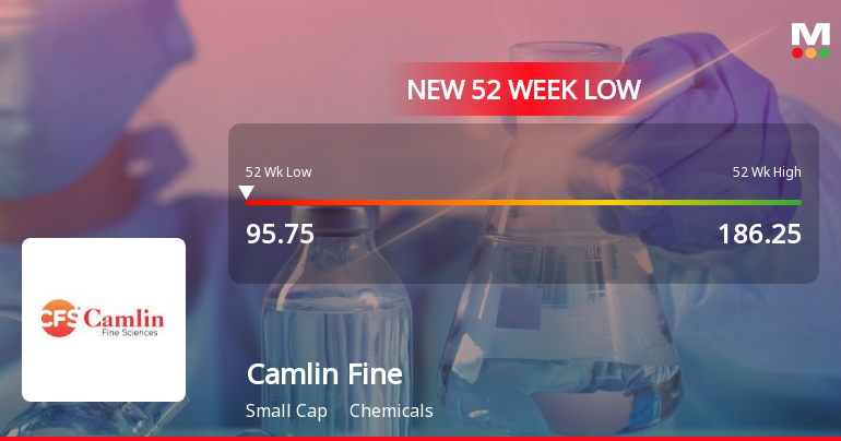 Camlin Fine Sciences' Stock Hits 52-Week Low, Receives 'S...