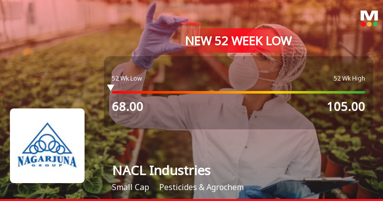 NACL Industries' Stock Hits 52-Week Low Amidst Overall Se...