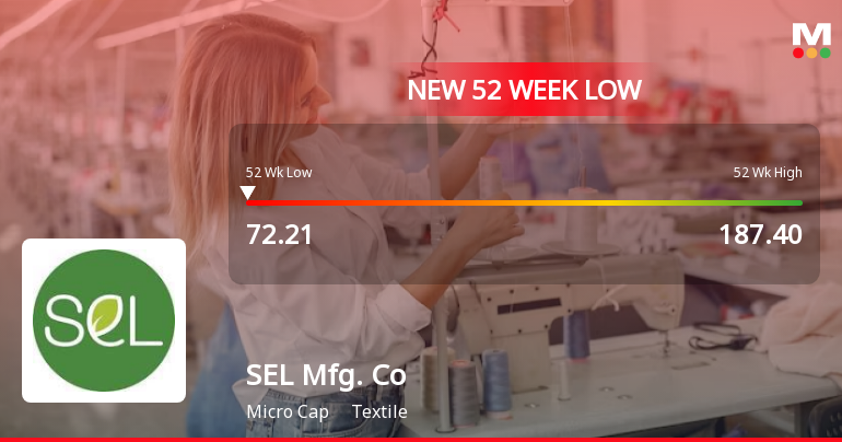 SEL Manufacturing Company Hits 52-Week Low Amidst Underperformance and ...