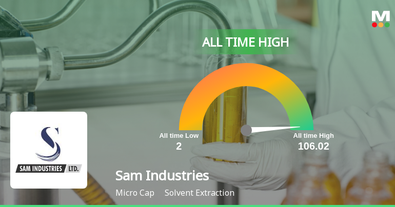 Sam Industries' Stock Surges to All-Time High, Outperforms Sector by 20%