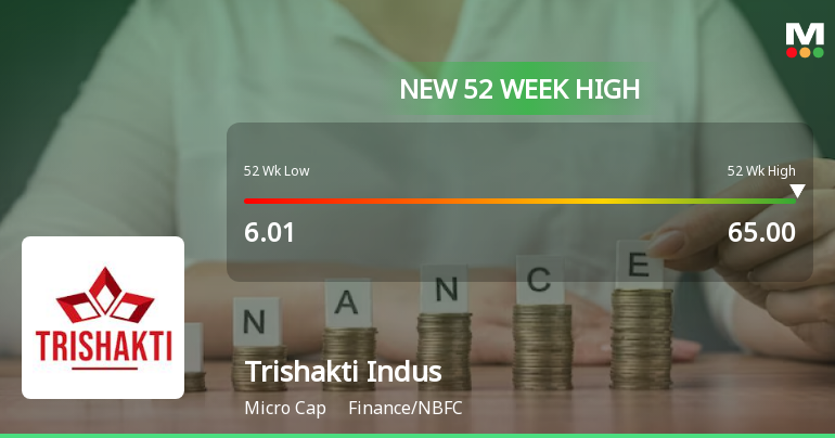 Trishakti Industries' Stock Reaches 52-Week High, Outperforms Sector ...