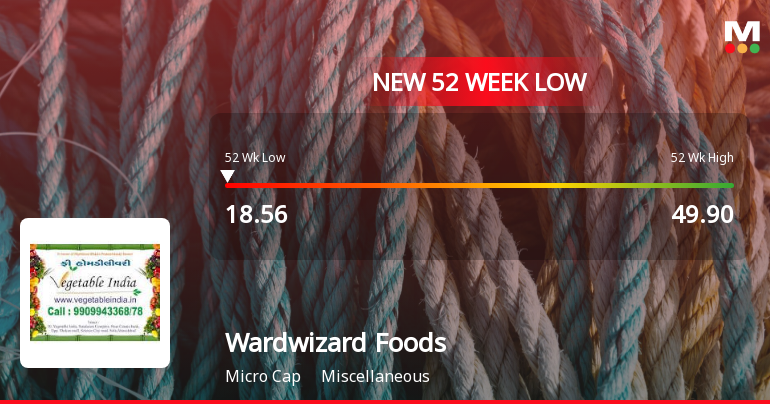Wardwizard Foods & Beverages Stock Hits 52-Week Low, Receives 'Strong ...
