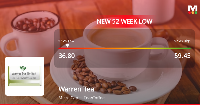 Warren Tea . Hits 52-Week Low Amidst Industry Challenges and Negative ...