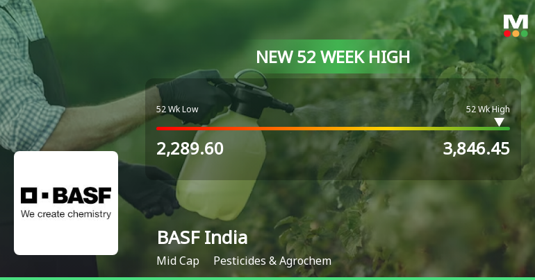 BASF India Surges to 52-Week High, Outperforming Sector and Sensex