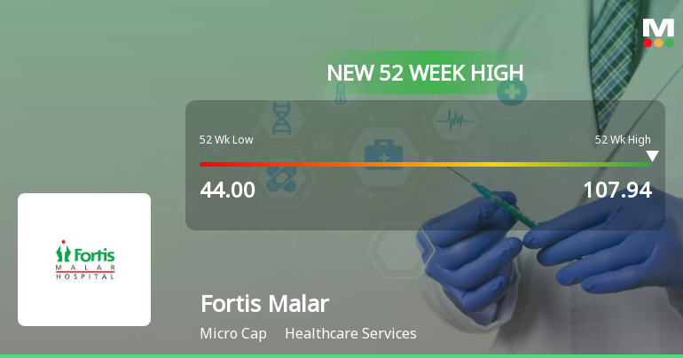 Fortis Malar Hospitals Hits 52-Week High, Outperforms Sector and Sensex