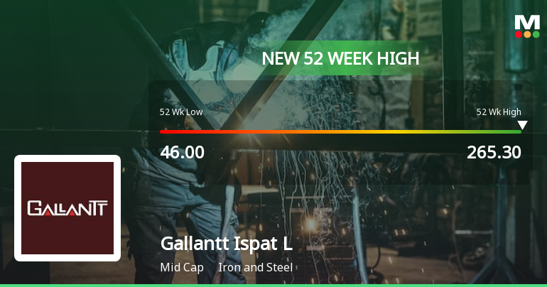 Gallantt Ispat Ltd. Hits 52-Week High, Outperforms Sector and Sensex