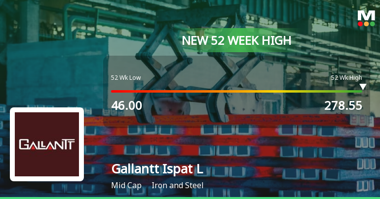 Gallantt Ispat Ltd. Hits 52-Week High, Outperforms Sector and Shows ...