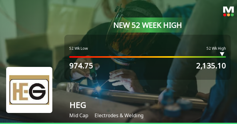 HEG Ltd. Reaches New 52-Week High, Outperforms Sector Average with 116% ...