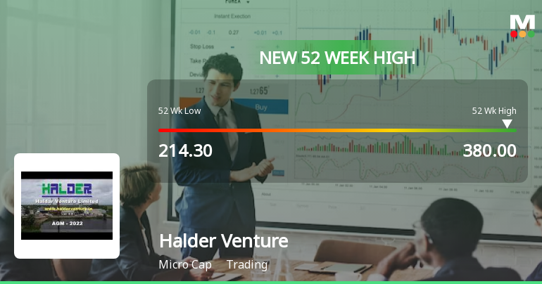 Halder Venture's Stock Reaches 52-Week High, Outperforms Sector and ...