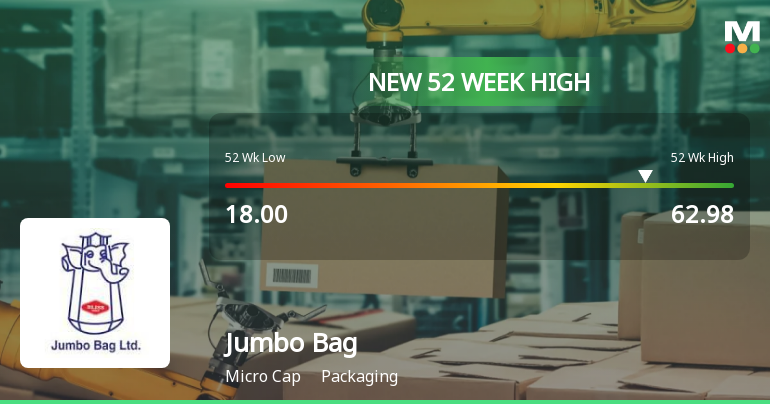 Jumbo Bag's Stock Reaches 52-Week High, Outperforms Sense...