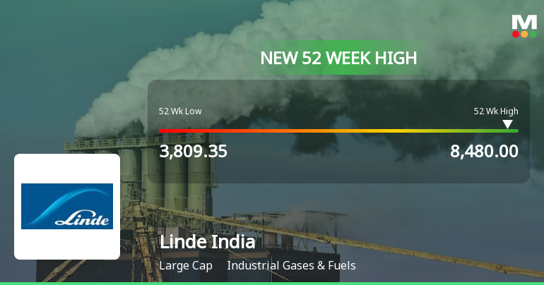 Linde India Ltd. Hits 52-Week and All-Time High, Shows Strong ...