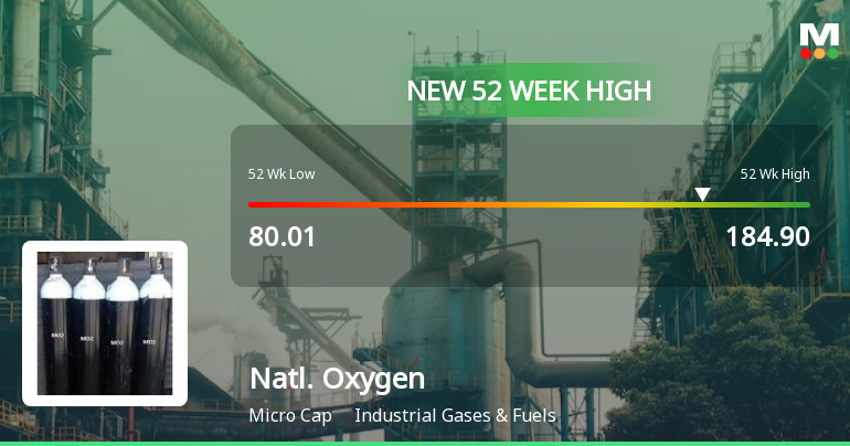 National Oxygen Hits 52-Week High, Outperforms Sector and Sensex in Market