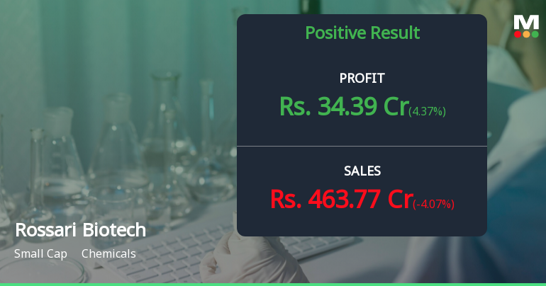 Rossari Biotech's Q4 2024 financial results show strong growth and receive 'Hold' call from ...