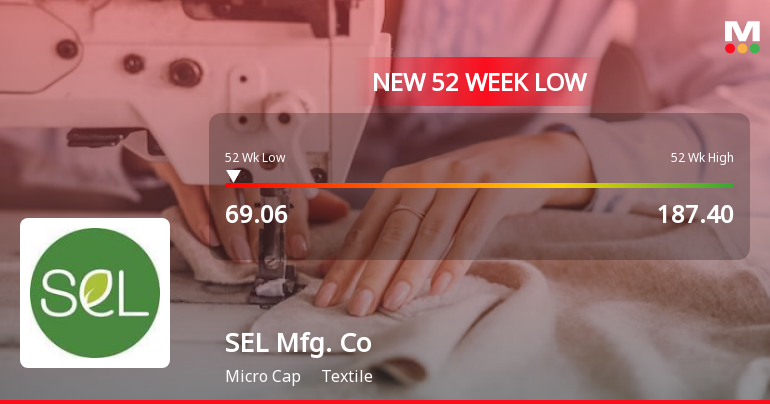 SEL Manufacturing Company Hits 52-Week Low, Receives Strong Sell ...