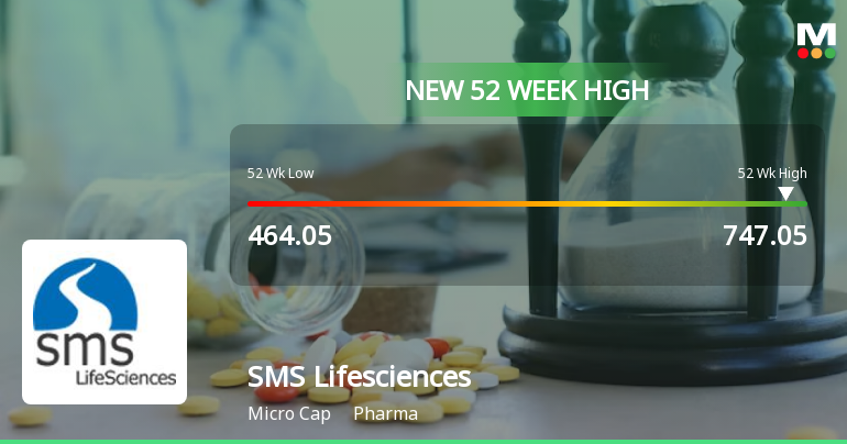 SMS Lifesciences India hits 52-week high, outperforms sector with strong growth