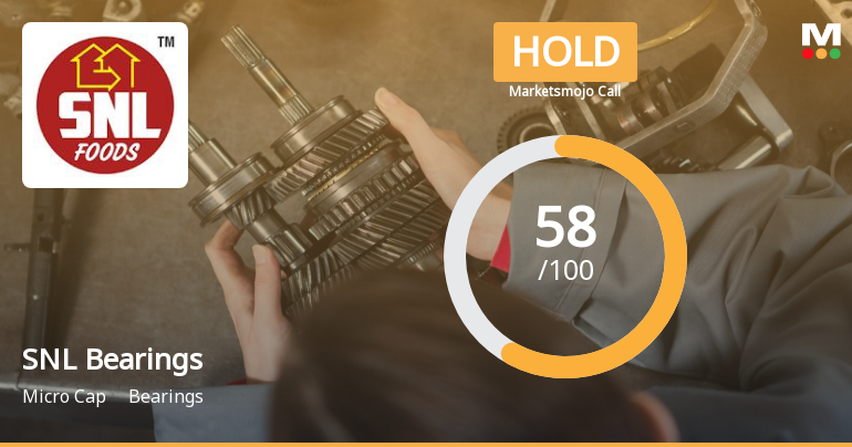 SNL Bearings Receives 'Hold' Rating, Shows Strong Management Efficiency and Fair Valuation