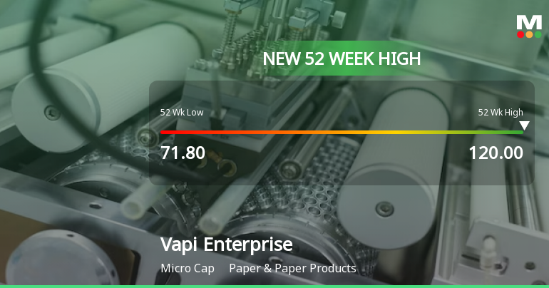 Vapi Enterprise's Stock Hits 52-Week High, Outperforms Sector Despite ...
