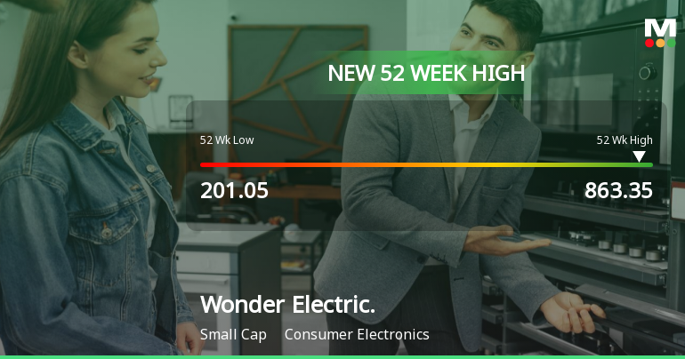 Wonder Electricals' Stock Reaches All-Time High, Outperfo...